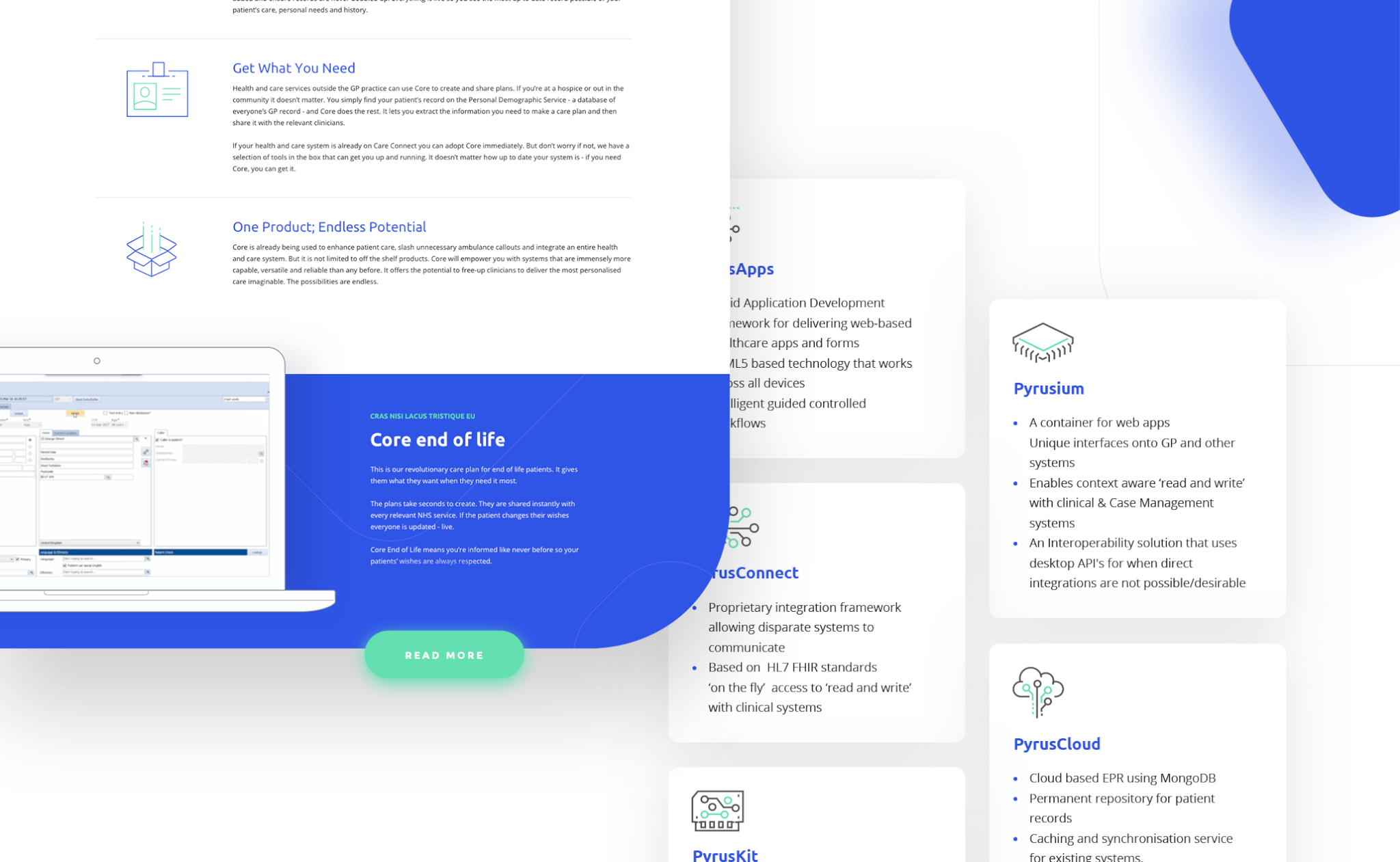 Black Pear Software - Radical Web Design