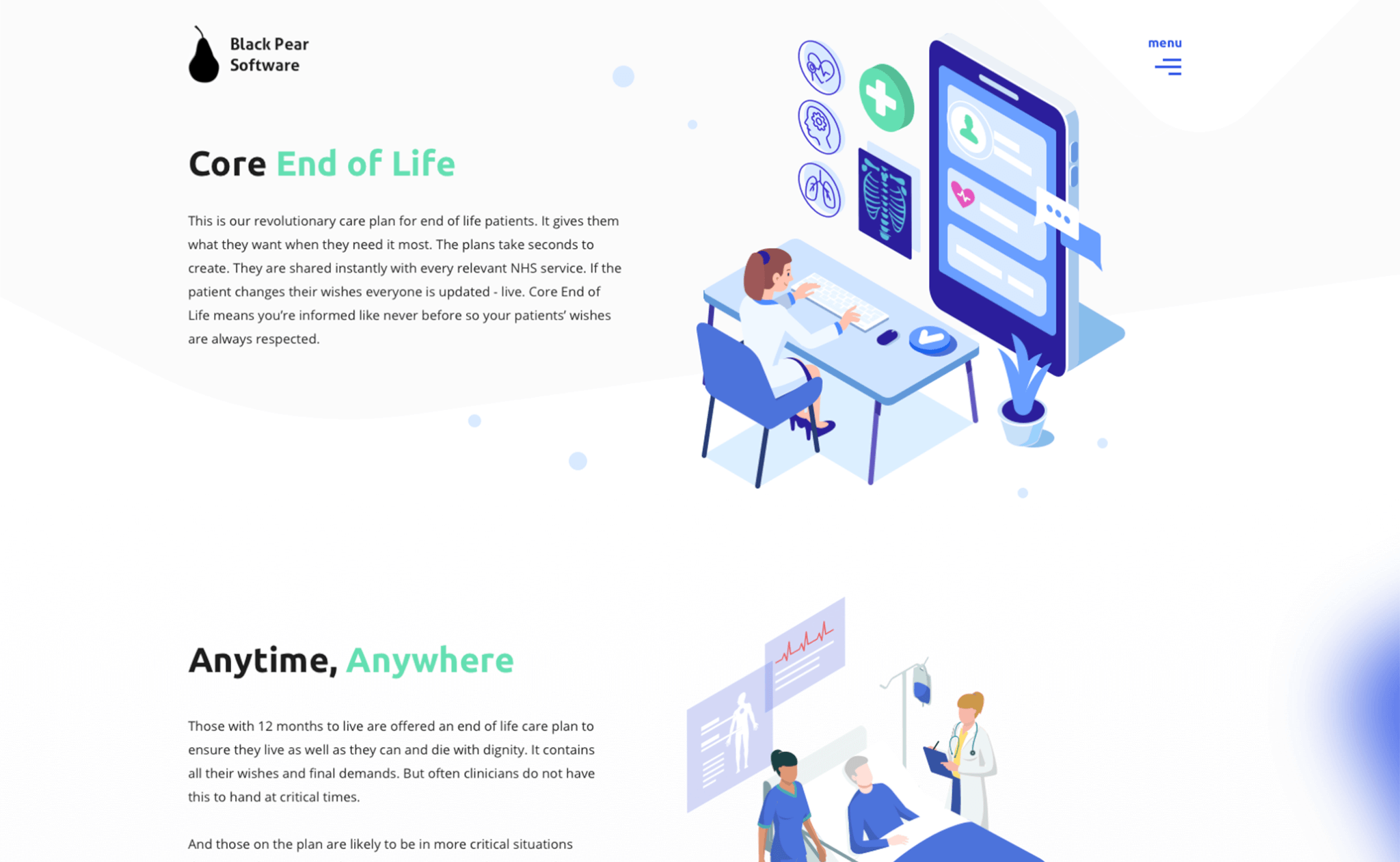 Black Pear Software - Radical Web Design